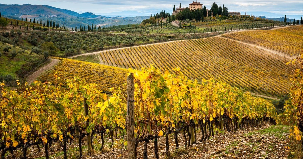 Florence: Tuscany Highlights Bus Tour with Winery Visit | GetYourGuide