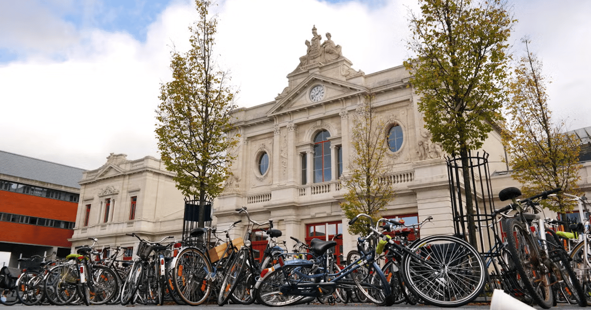 From Brussels: Day trip to Mechelen and Leuven by train, the Flemish ...