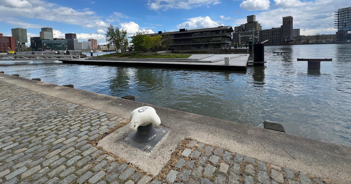 Rent a Kayak in Rijnhaven, Rotterdam | GetYourGuide
