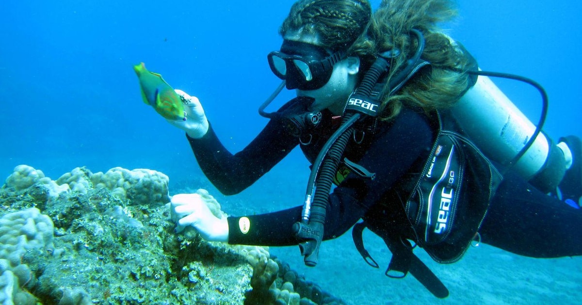 Easter Island: Tropical Diving | GetYourGuide