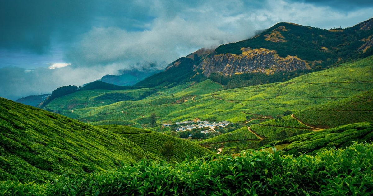 Munnar : Private One Day Tour from Kochi. Free Pickup-Drop | GetYourGuide