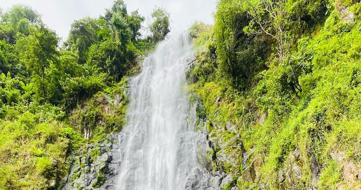 Arusha/Moshi: Waterfall,Coffee tour & Banana Wine Experience | GetYourGuide