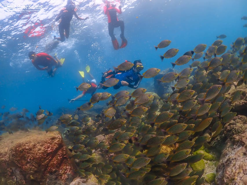 Nemo Island Experience with Drone Photos and Lunch | GetYourGuide