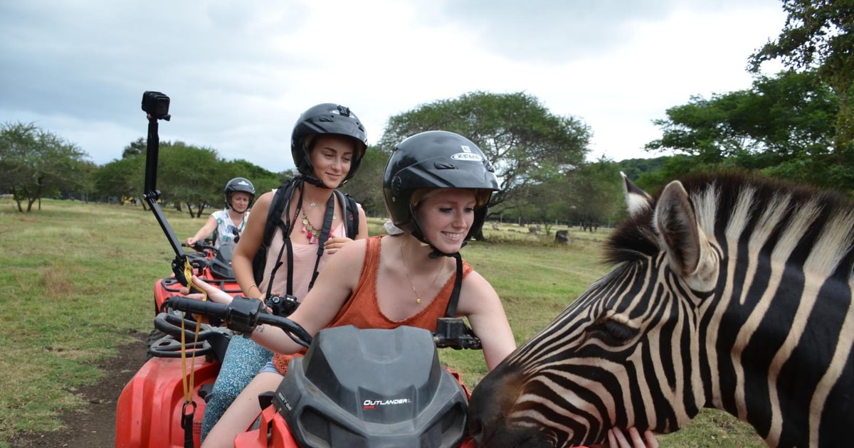 SAFARI QUAD BIKING IN GAUTENG | GetYourGuide