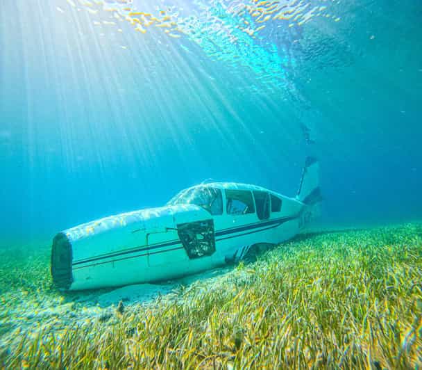 Nassau: Sun Cay Day Trip, Snorkel, Iguana Encounter, & Lunch | GetYourGuide