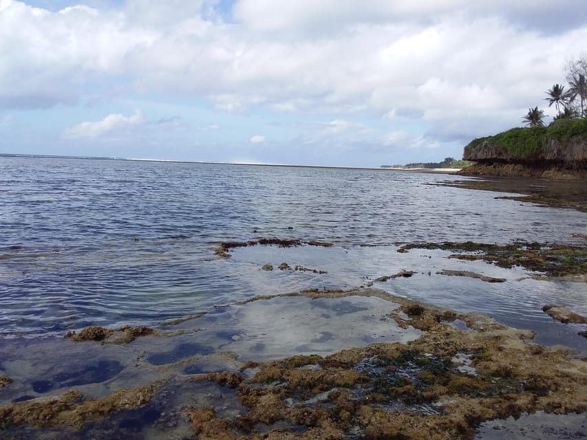 African Pool: Tiwi-Diani Beach Sunset boat ride & Reef Tour | GetYourGuide