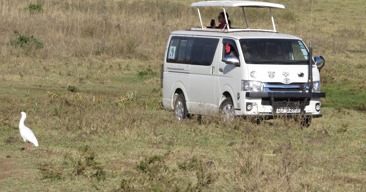 Nairobi National Park Small group tour | GetYourGuide