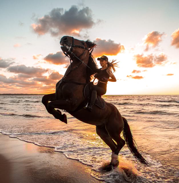 Marsa Alam: Sea and Desert Horse Riding Tour | GetYourGuide