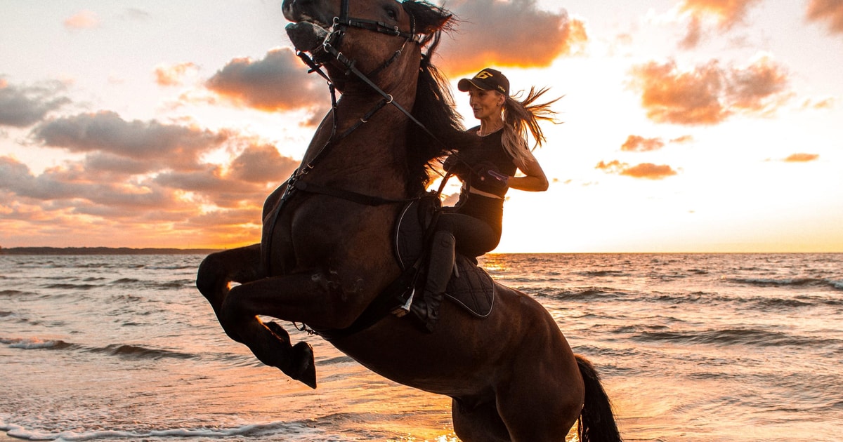 Marsa Alam: Paardrijtocht over zee en door de woestijn | GetYourGuide