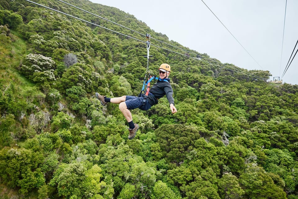 Kaikōura: Zipline and Native Forest Adventure Trip | GetYourGuide