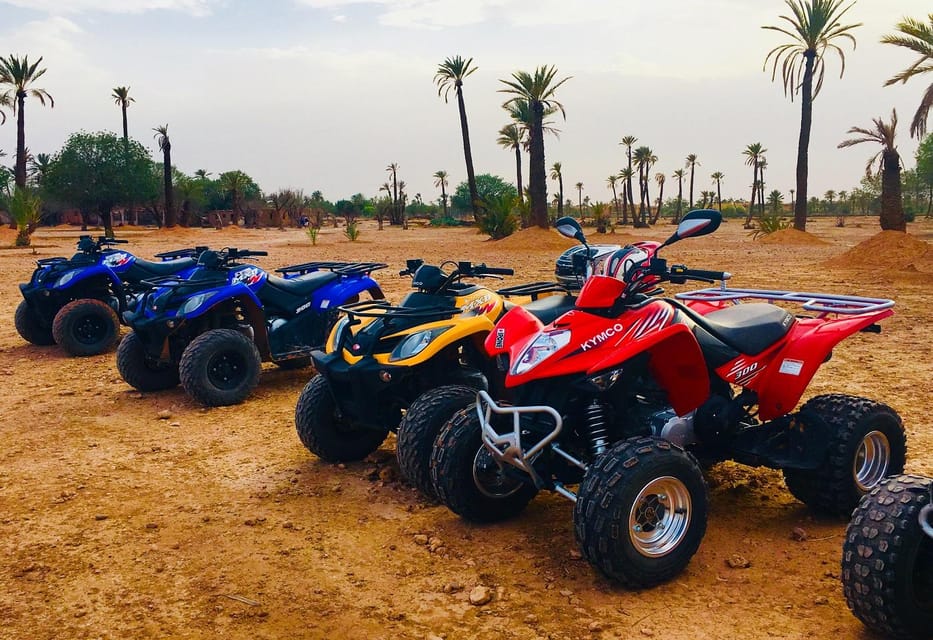 Half-Day Quad Biking Tour Marrakech Palmeraie | GetYourGuide