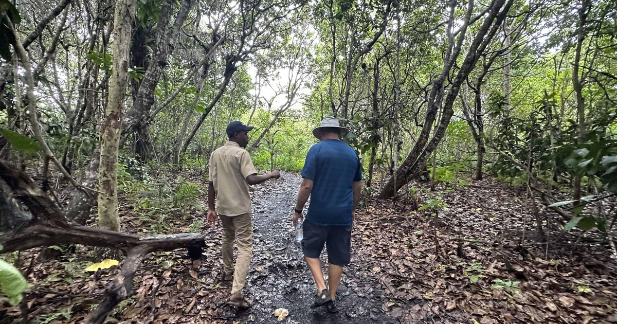 Zanzibar : visite d'une plantation d'épices et de Jozani avec déjeuner ...