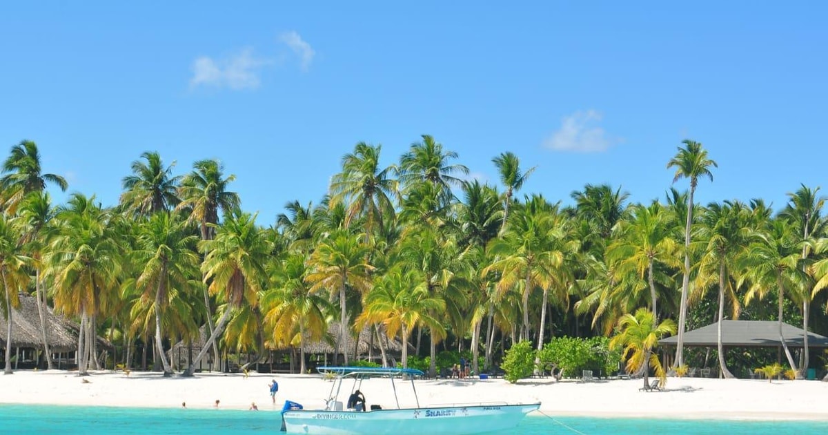 Ganztägige Saona Island Tour mit dem Schnellboot | GetYourGuide