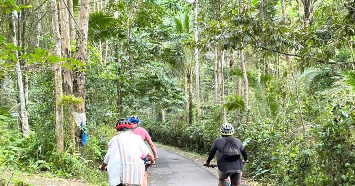 Pedal Through Paradise: Bali Wanderlust Sidemen Cycling Tour | GetYourGuide