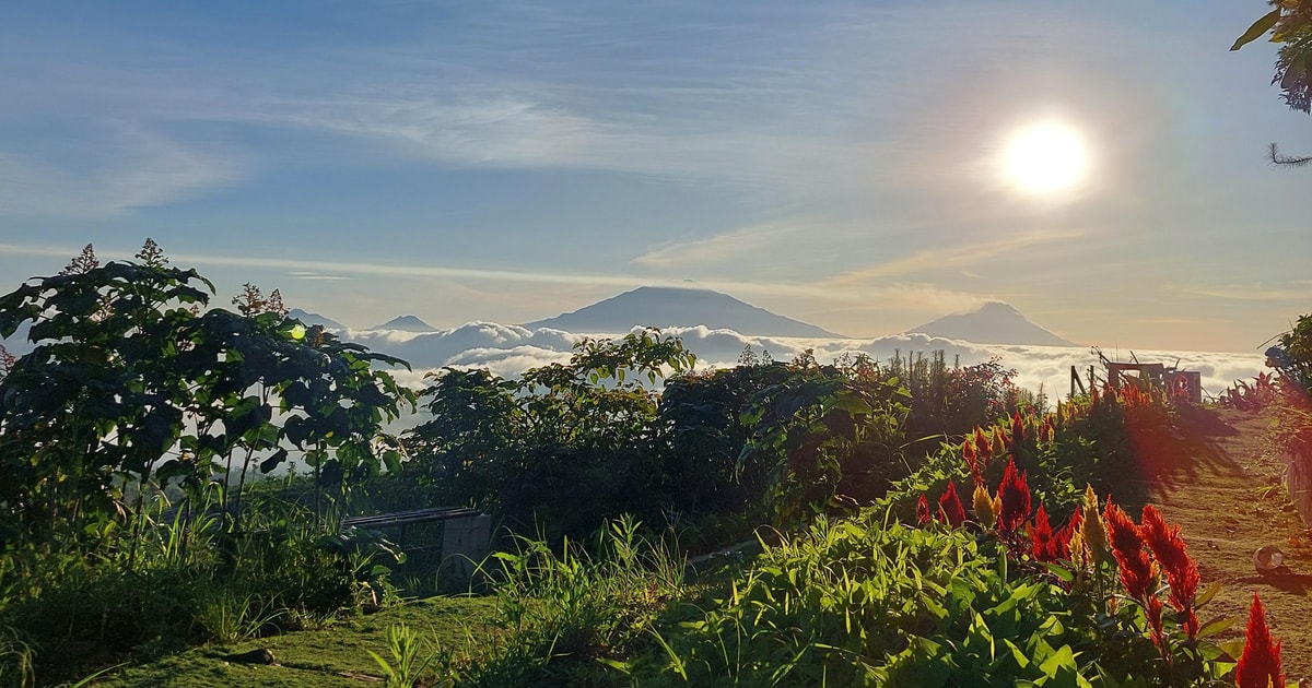 Magelang : lever du soleil sur les hauts plateaux de Silancur et visite ...
