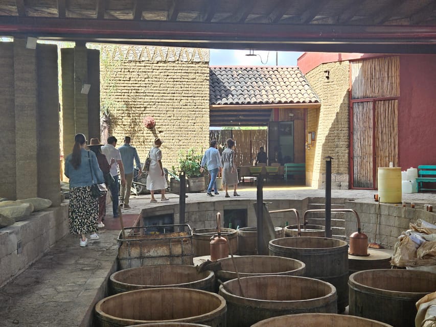 Mezcal Day Premium Family Distilleries Tour with Lunch | GetYourGuide