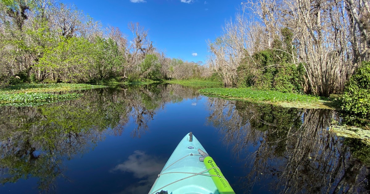 Ciudad de Orange: Excursión guiada en kayak por el Parque Estatal Blue ...