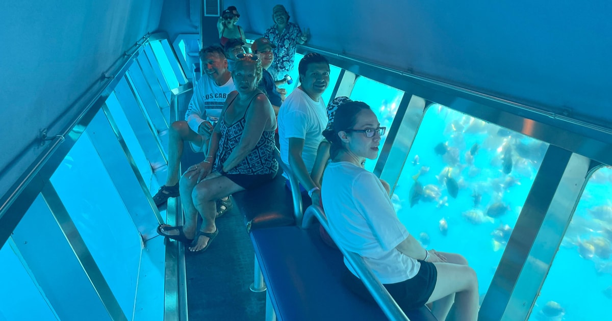 Underwater Exploration Tour & Ocean Sighting Tour | GetYourGuide