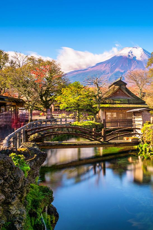 Depuis Tokyo : Excursion d'une journée au Mont Fuji (5e station ...