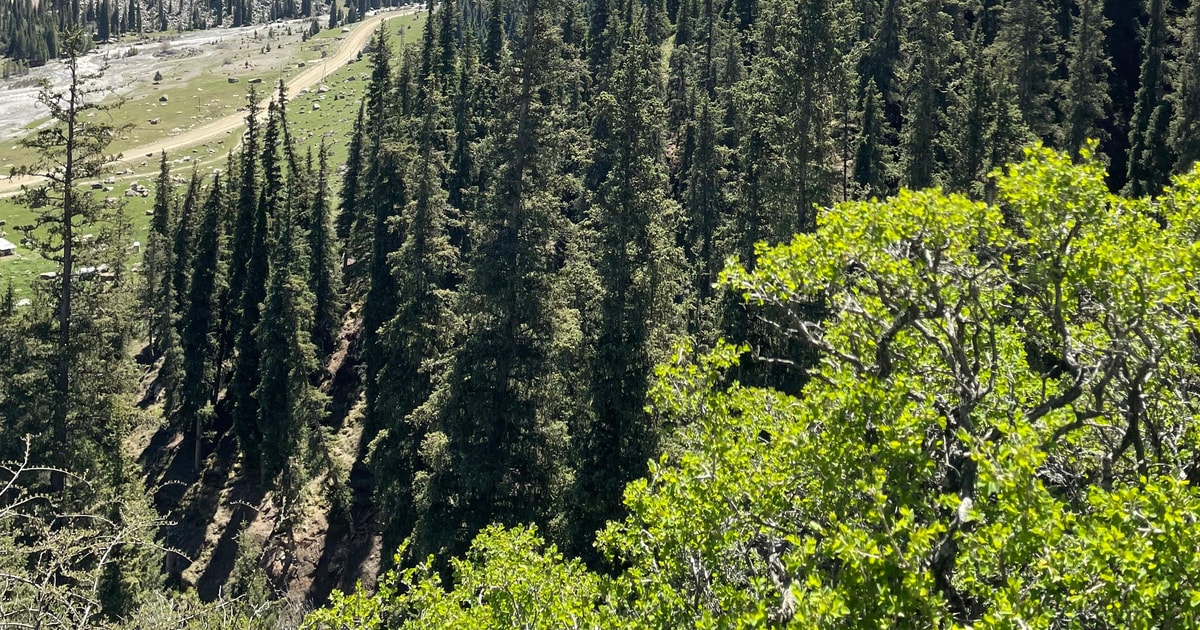 Tour de 2 días: lago Issyk-Kul, cascada, cañón y estancia en yurta ...