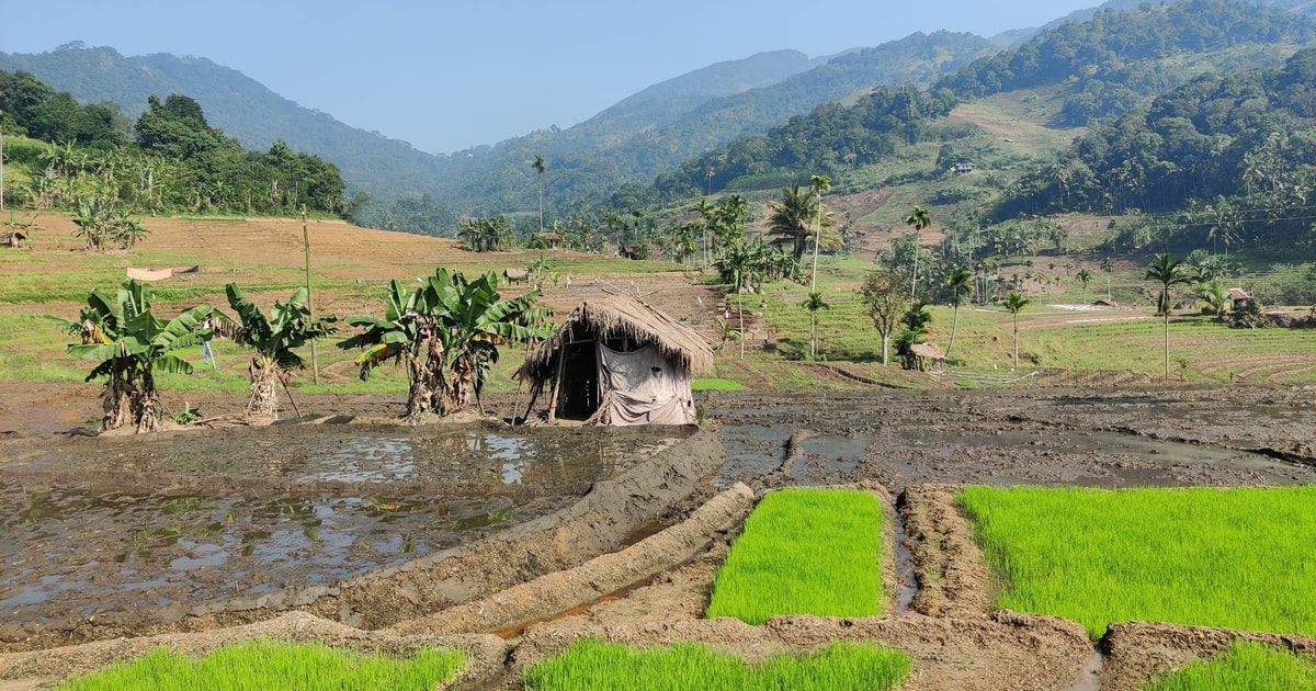 Kandy: Knuckles Mountain Range Guided Trekking Tour | GetYourGuide