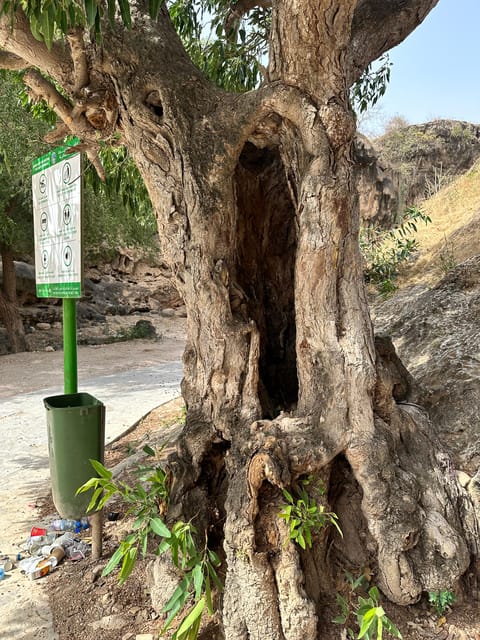 Elite Private Full Day Tour - Salalah Main Attractions | GetYourGuide