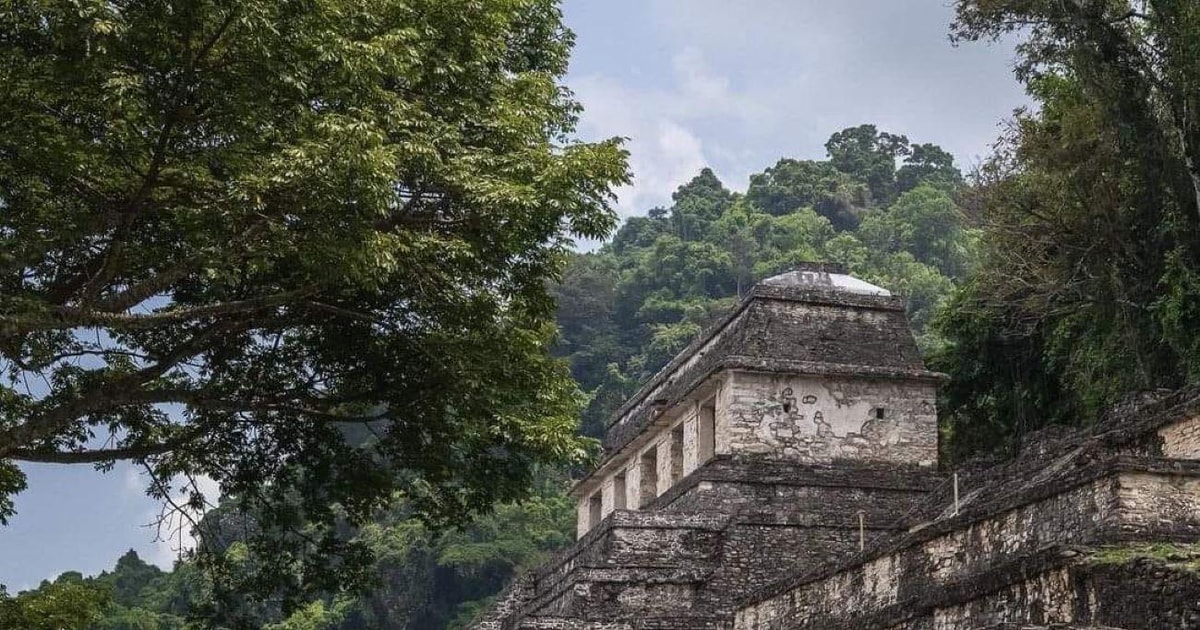 Depuis San Cristóbal : Circuit de 3 jours dans la jungle de Lacandona ...