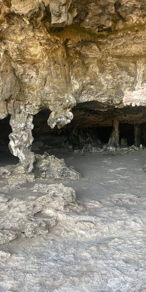 Aruba: Natural Pool, Caves & Baby Beach Jeep Adventure | GetYourGuide