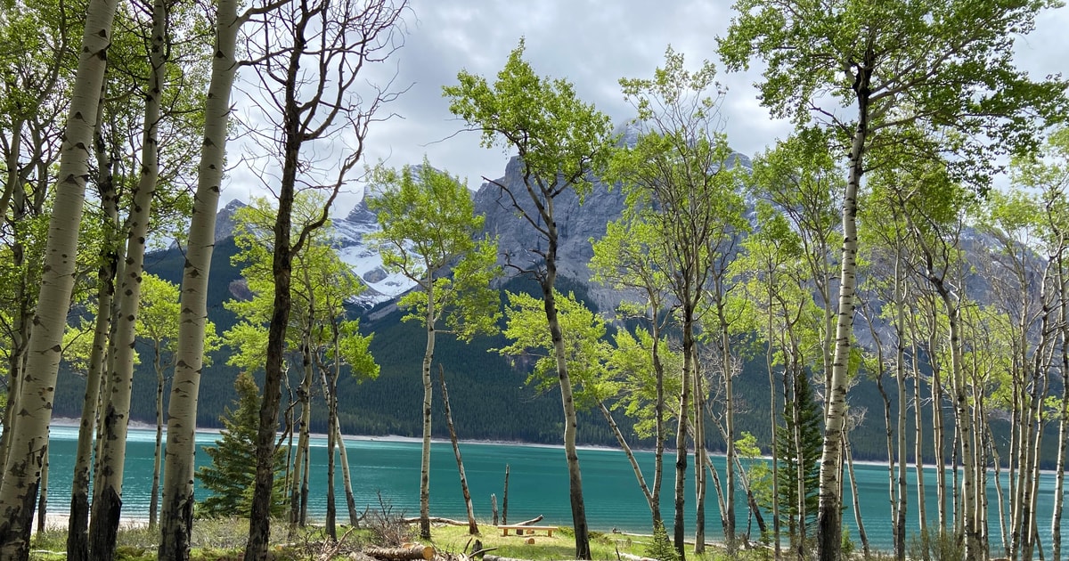 Privétour - Het beste van Banff National Park | GetYourGuide