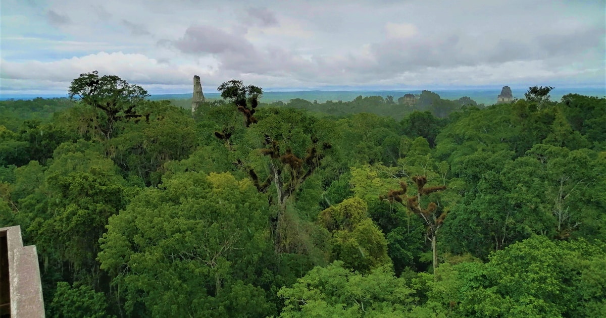 From Flores: Sunset Tour in Tikal plus View of the Stars | GetYourGuide