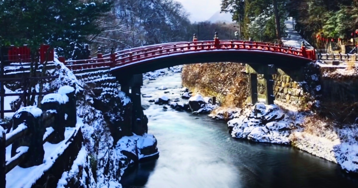 Tokio: Nikko Private Tour mit individueller Hotelabholung und ...