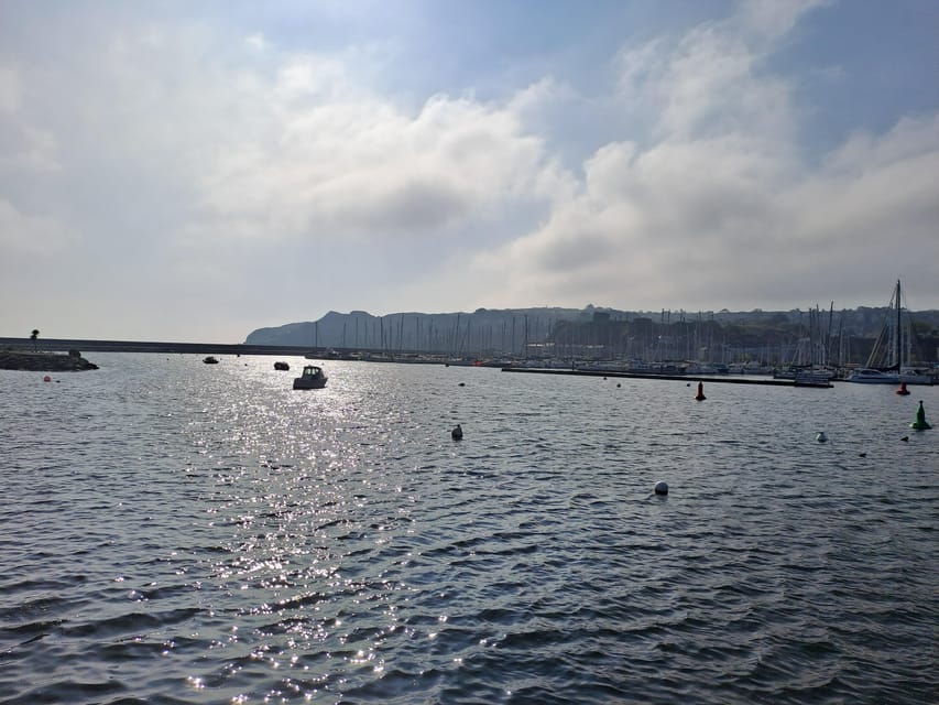 Dublin: Nature & Hiking in Howth (Walking Tour) | GetYourGuide