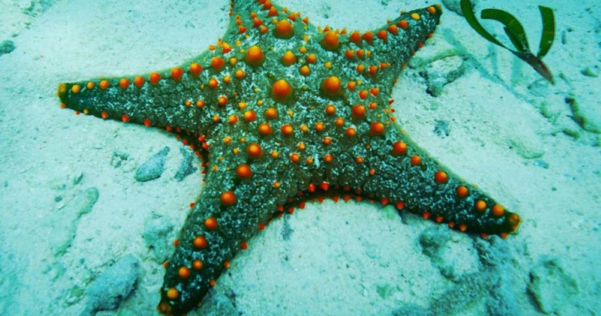 The Rock Restaurant, visite de la grotte de Kuza, visite de la grotte ...