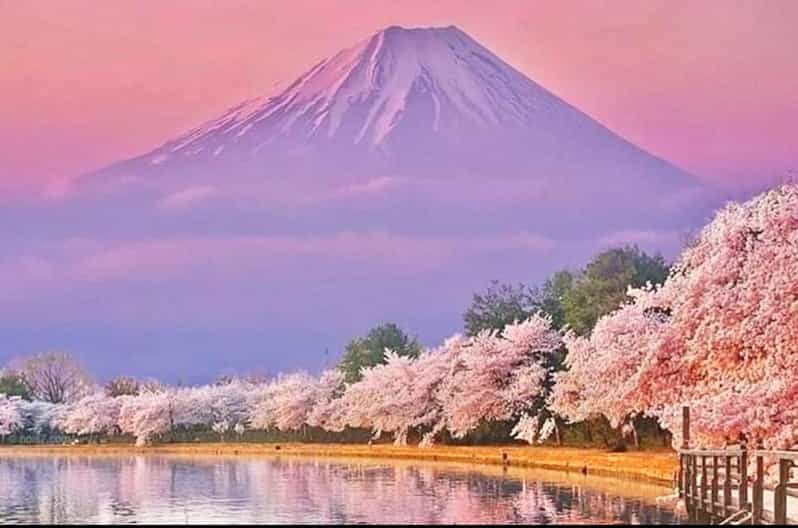 Din Tokyo: Muntele Fuji excursie de o zi cu șofer vorbitor de limba ...