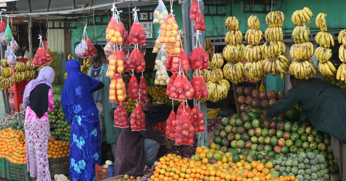 アディスアベバ市内ツアー | GetYourGuide