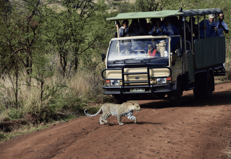 Pilanesberg National Park: 6H Game Drive with Lunch | GetYourGuide
