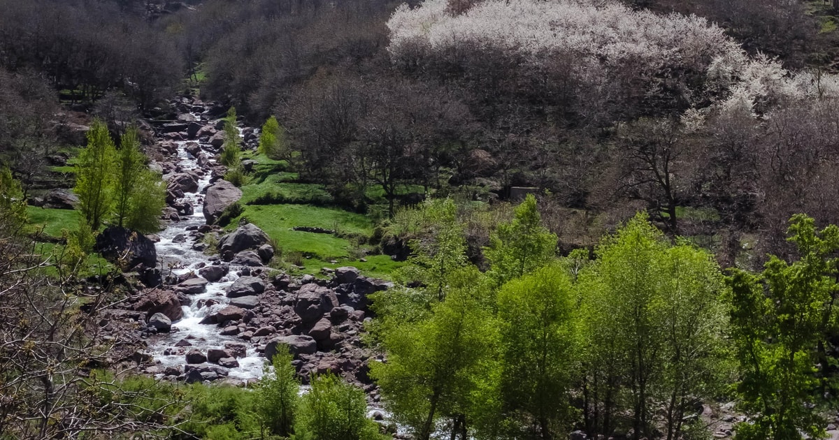 excursie de o zi în Munții Atlas cu cascade | GetYourGuide