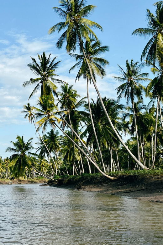 Tanga: Amani Nature Reserve, Amboni Caves, and Pangani … | GetYourGuide
