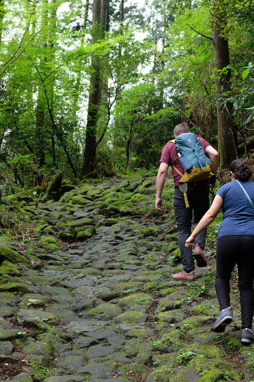 Hakone Hachiri: Old Tokaido Highway Hiking Half-day tour | GetYourGuide
