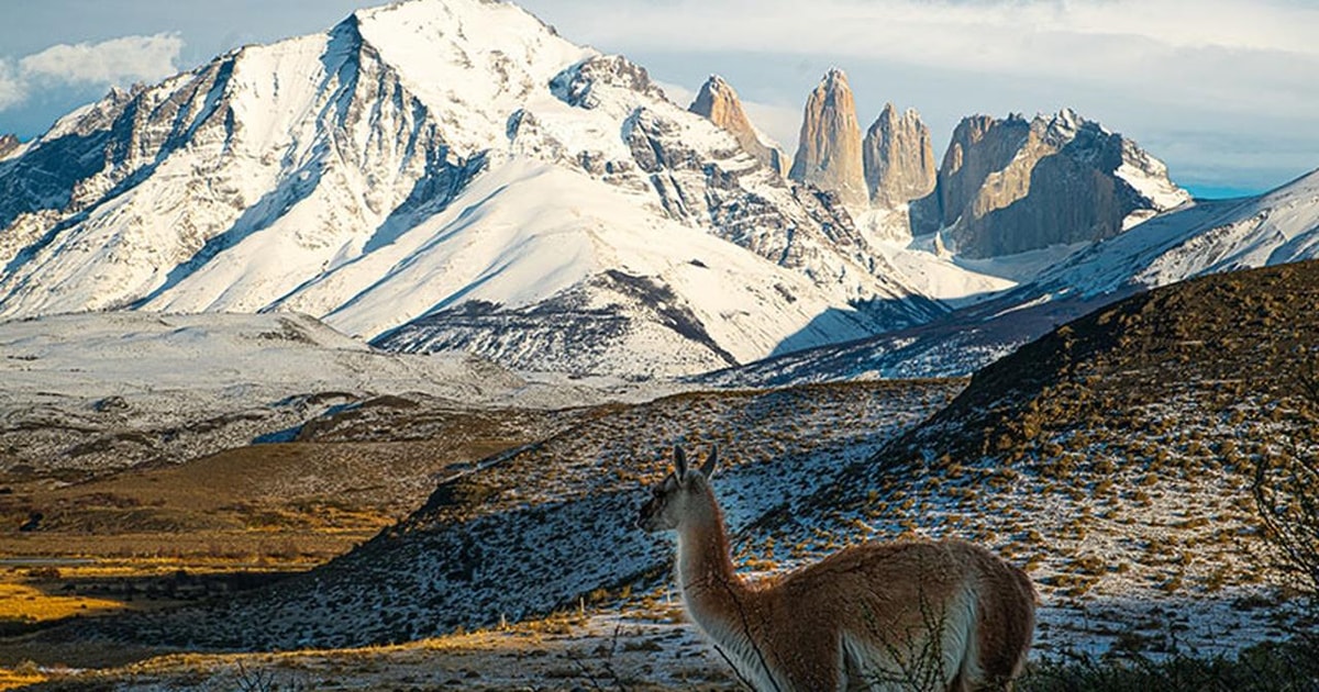 Puerto Natales: Dagsutflykt till Torres del Paine | GetYourGuide