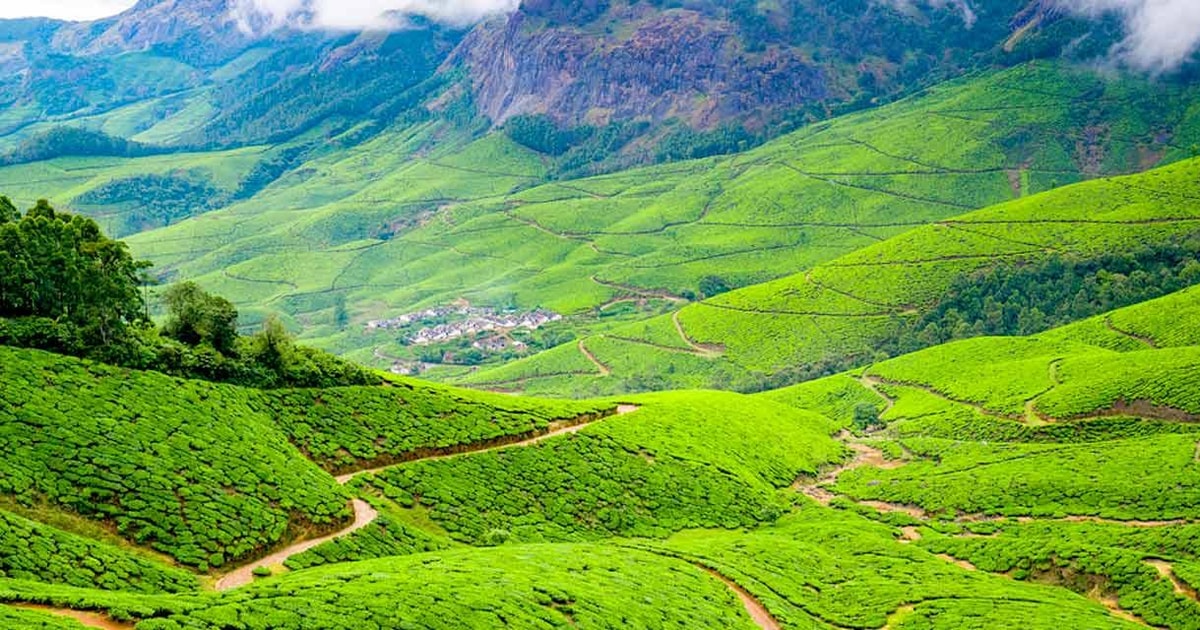 Private Munnar-Tagestour: Trekking @ Meesapulimala mit Panoramablick ...