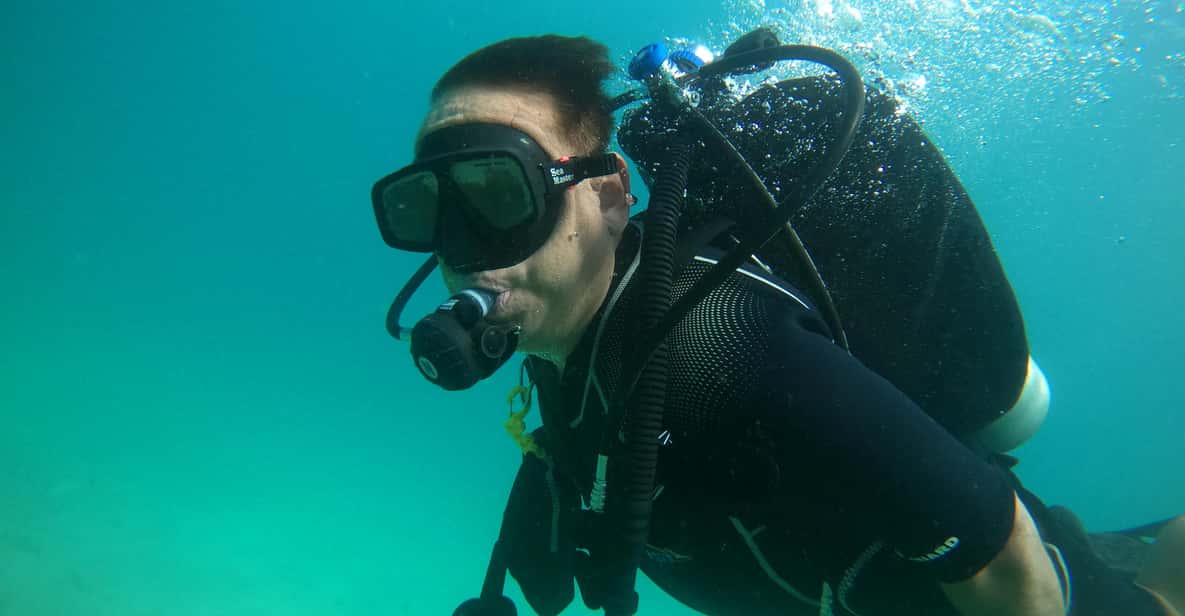 From Dubai: 3 dives in Fujairah with BBQ Dinner & Transfer | GetYourGuide