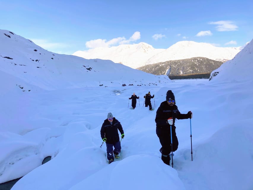 Guided Snowshoeing Adventure from Seward, Alaska | GetYourGuide