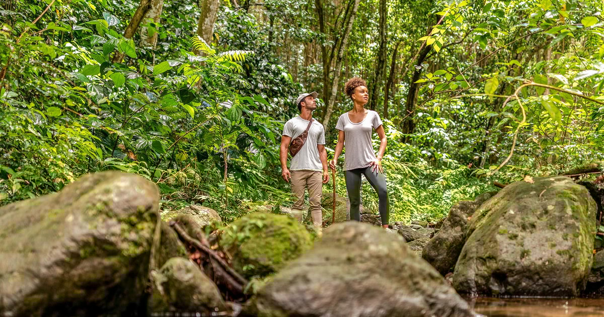Aventura en la selva | GetYourGuide