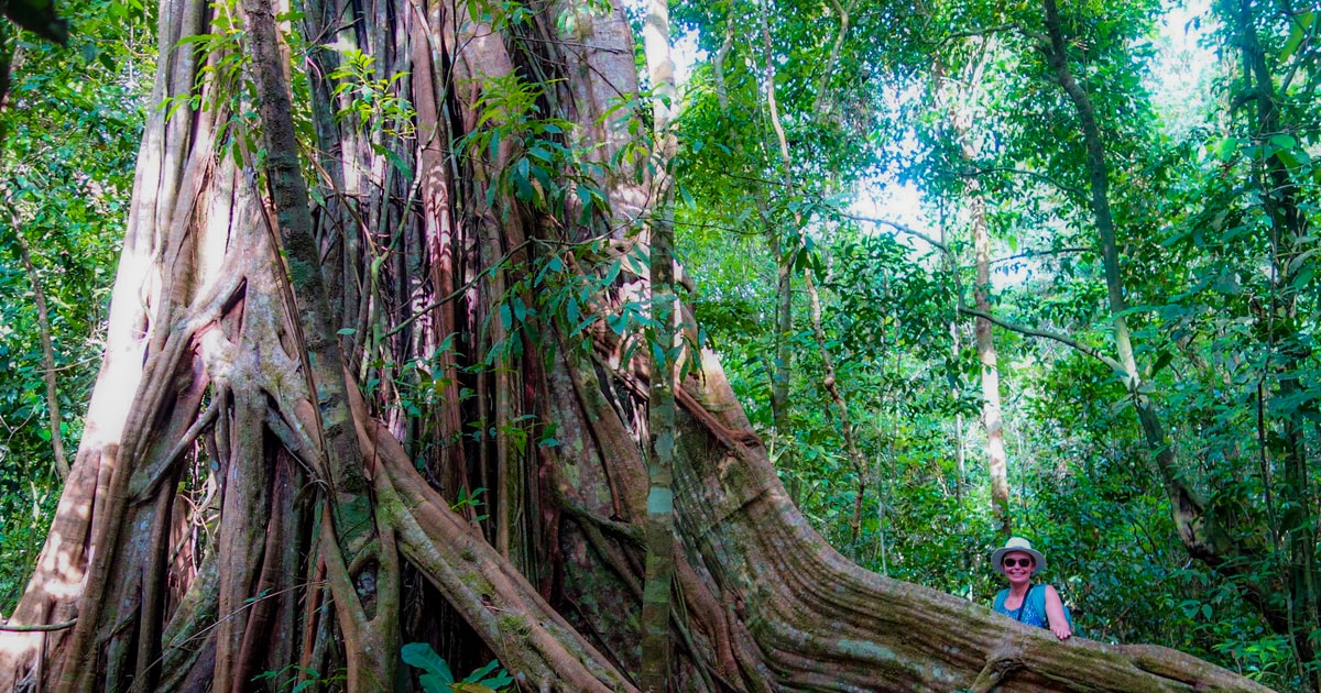 Corcovado National park - Sirena station - 1 night stay | GetYourGuide