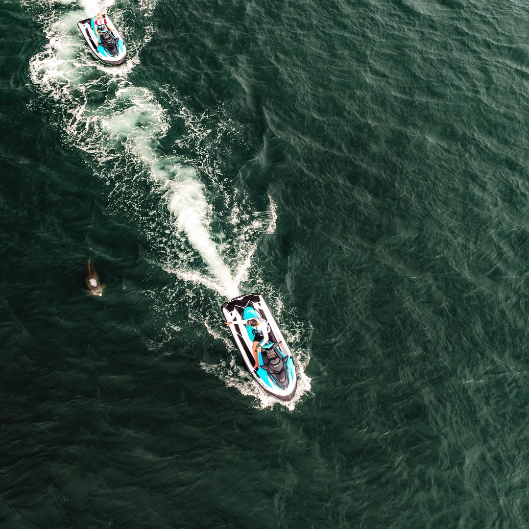 Panama City Beach: Jet Ski Eco Tour to Shell Island | GetYourGuide