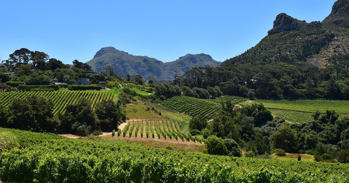 Full Day Winelands Tours | GetYourGuide