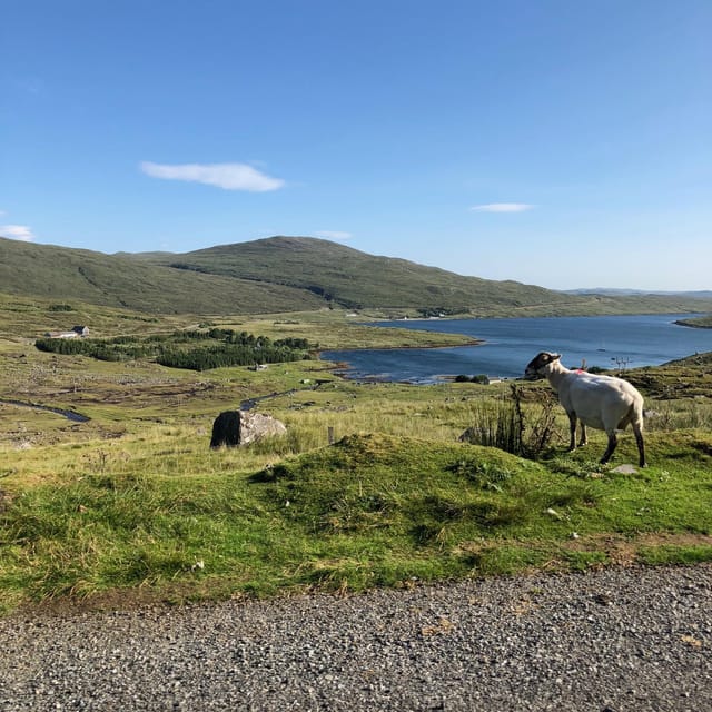 Highland Delights: A Scenic Day Trip Through the Highlands | GetYourGuide