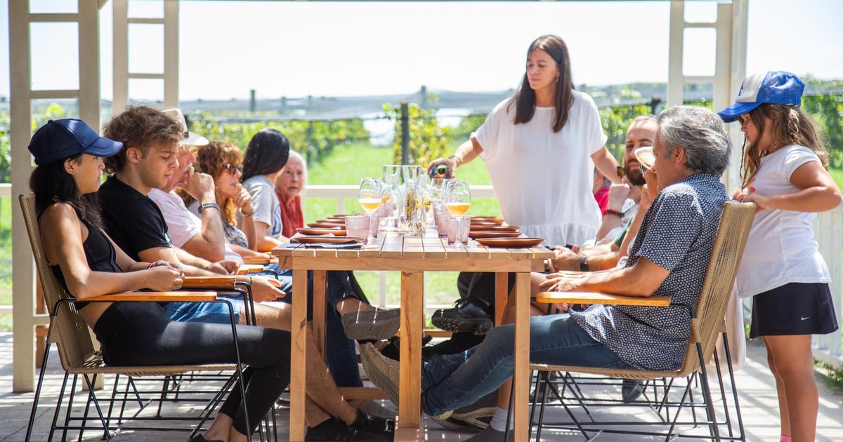 Buenos Aires: Lunch and Wine Tasting at Bodega Gamboa | GetYourGuide