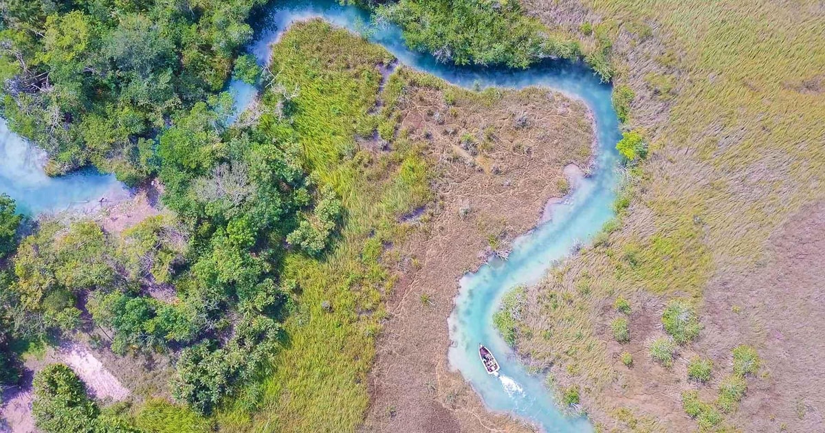 Beyond Bacalar: Privécruise langs de Piratenroute + Río Lento + lunch ...